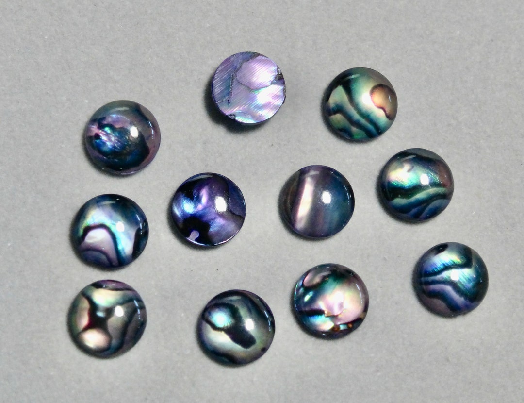 8mm or 10mm Purple Paua Abalone Shell Round Cabochon - Etsy