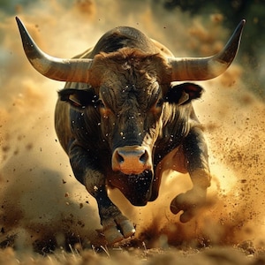 Charging Bull Print, Powerful Bull Artwork, Wild Bull Photography ...