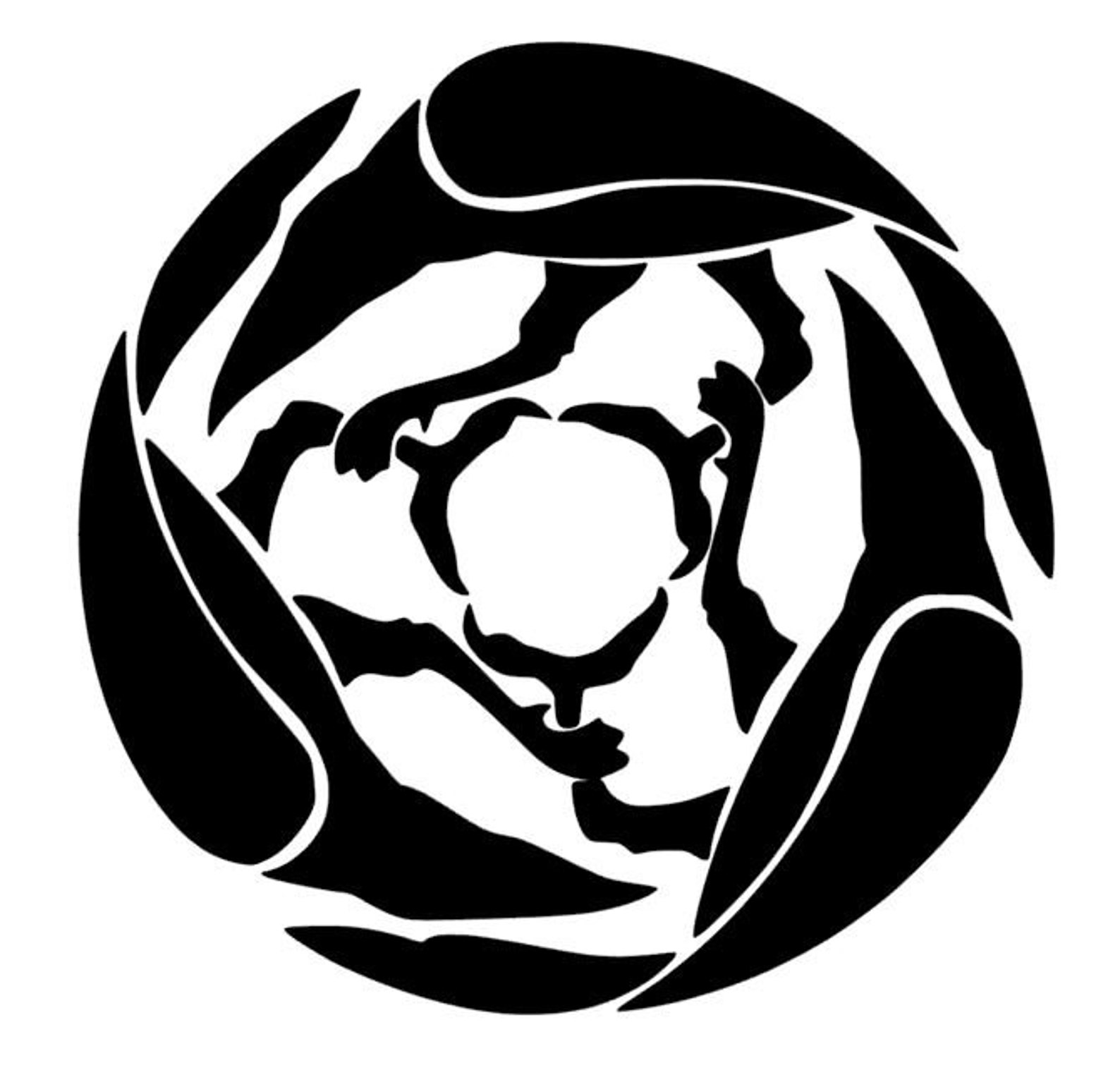 Raven Mandala, Mystical Raven, Occult Symbolism, Pagan Life, Witchcraft ...