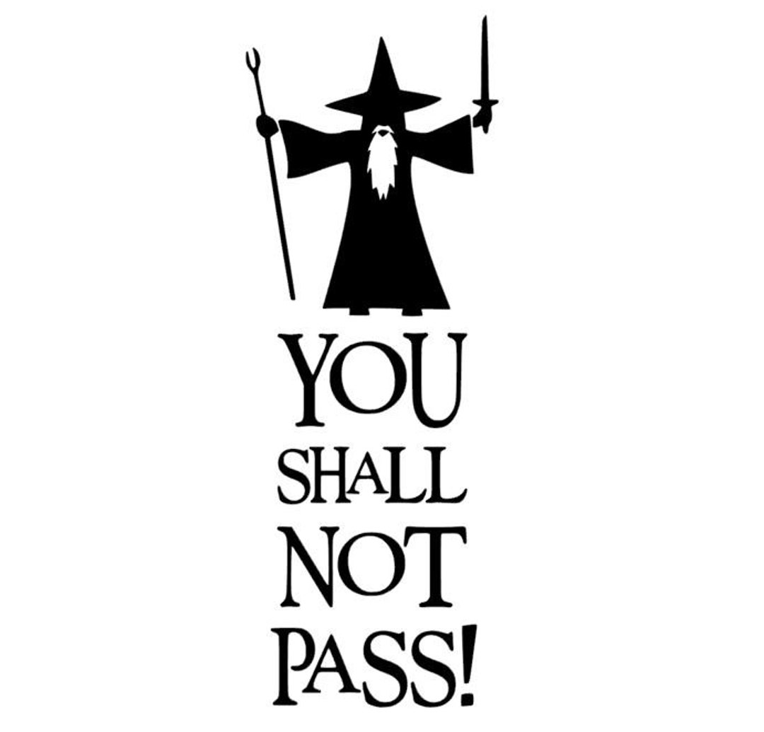 You Shall Not Pass Wizard, Movie Quote, Wizarding World, Wizard Cosplay ...