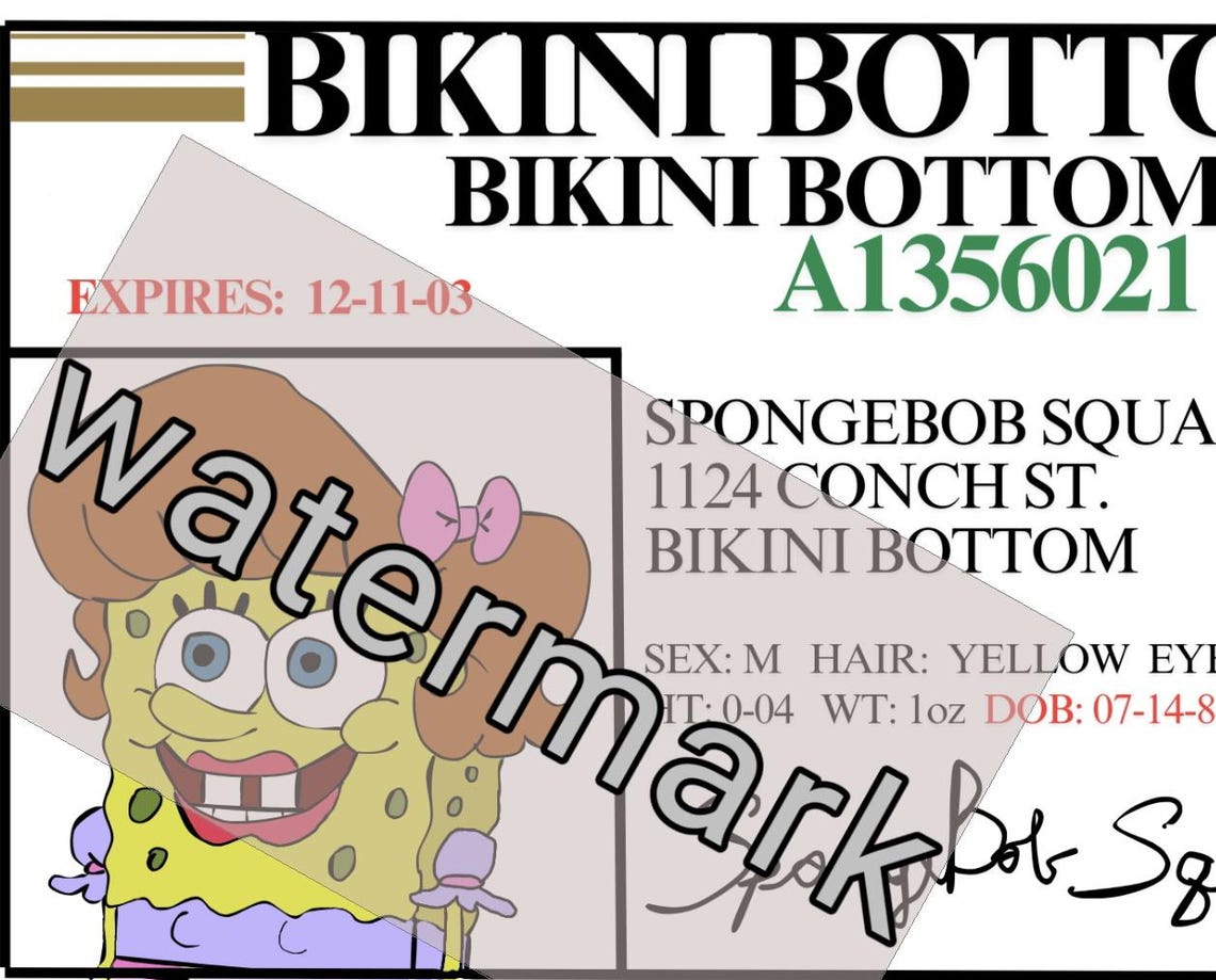 Parody / Yellow Sponge / Unofficial Fan Art / Driver License / 7x5in - Etsy