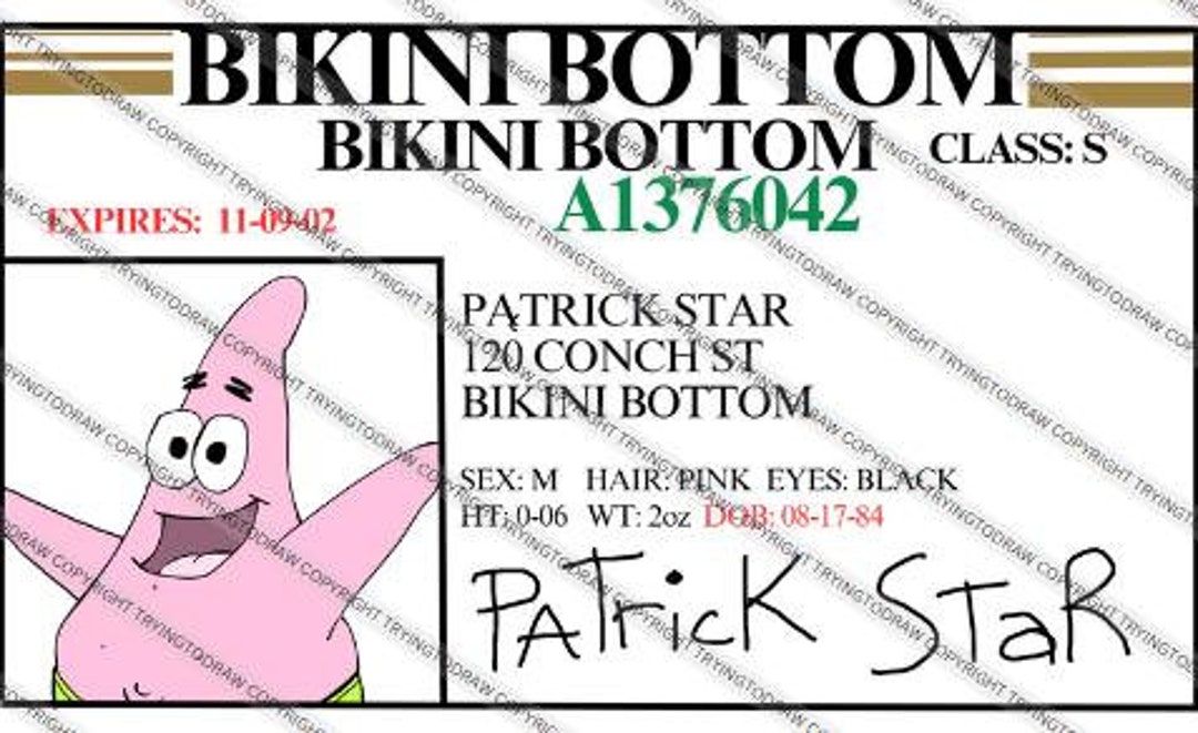 Patrick Star / Driver License Parody /bikini Bottom/ Digital / 7x ...