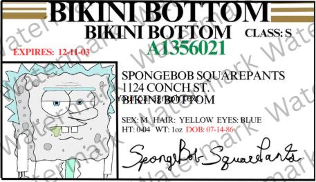 Parody / Yellow Sponge / Unofficial Fan Art / Driver License / 7x5in - Etsy