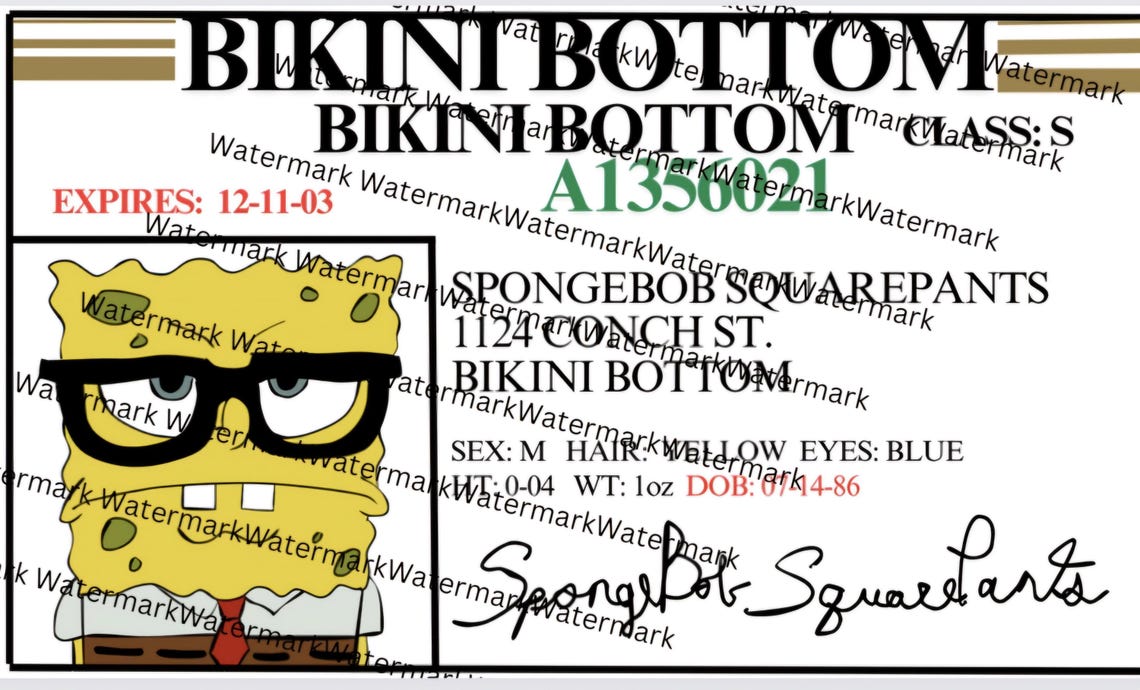Parody / Yellow Sponge / Unofficial Fan Art / Driver License / 7x5in - Etsy