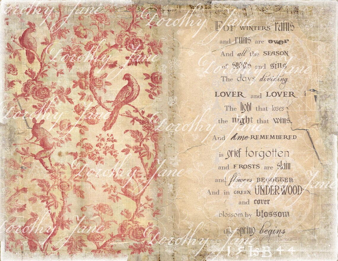 Medieval Lady's Journal Digital Paper: Fawn & Red Theme (digital ...