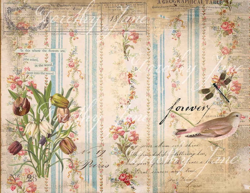 Digital Paper, Meadow Birds Journal Paper - Etsy
