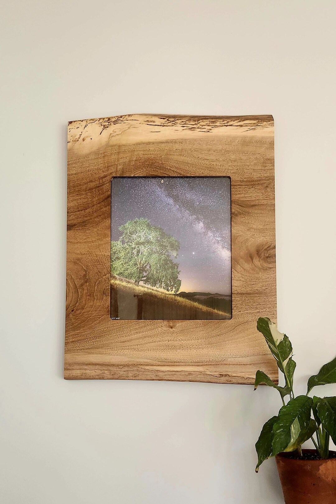 Live Edge White Maple Wood Picture Frame Handcrafted 10x 12 Photo - Etsy