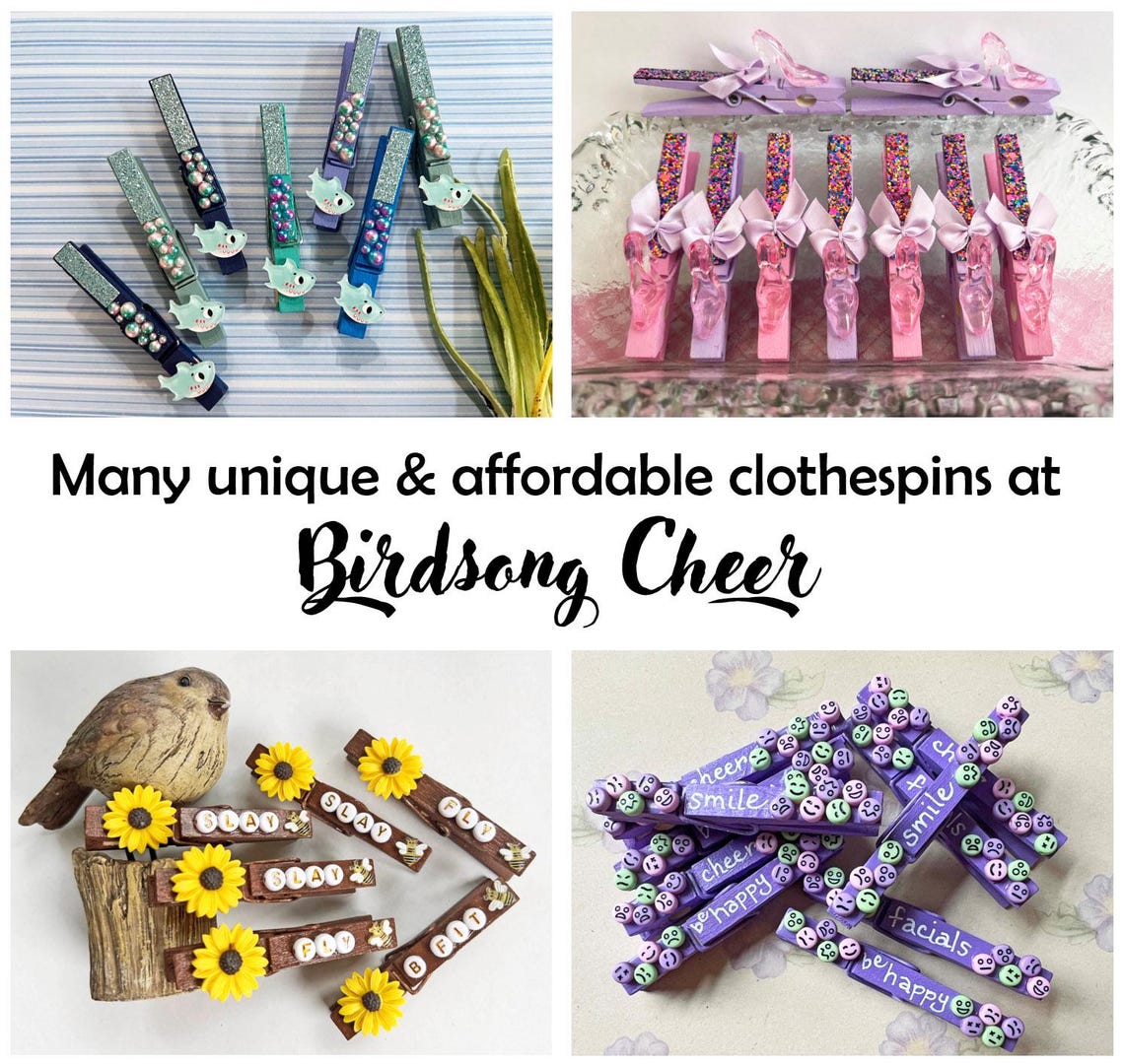 Cheer Spirit Pins Clips, Cheer Clothespins, Flamingo 12 Pins - Etsy