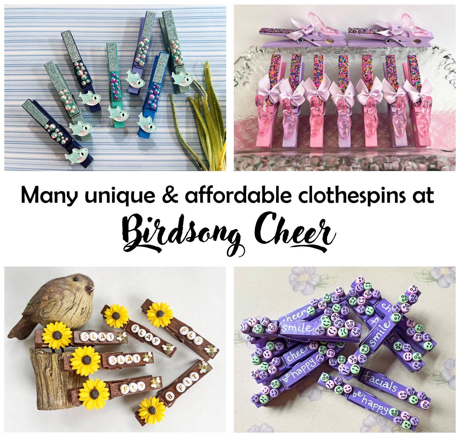 Cheer Spirit Pins Clips, Cheer Clothespins, Flamingo 12 Pins - Etsy