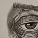 Eye - Etsy