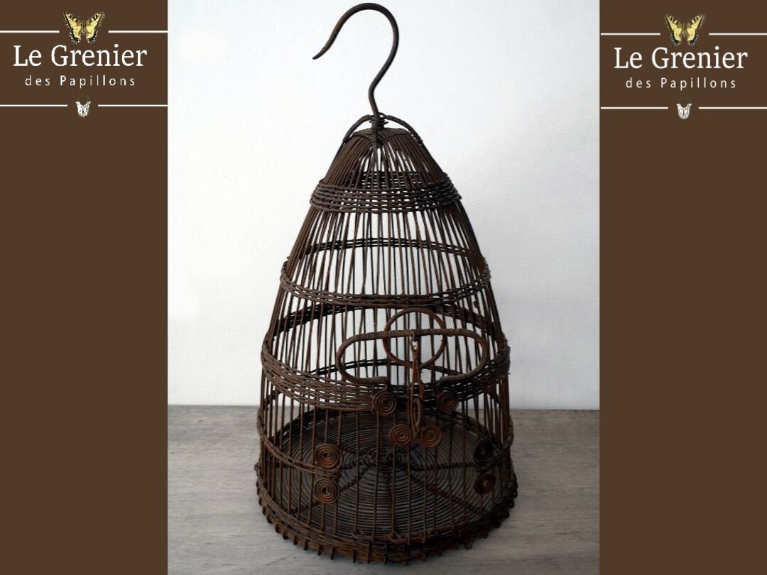 Vintage Wrought Iron Bird Cage - Etsy