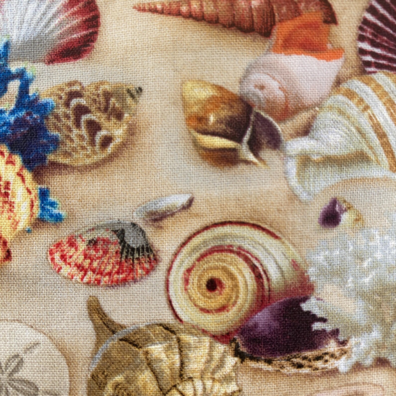 BEACHCOMBER SHELLS Fabric - Elizabeth's Studio - Cotton Quilt Fabric by ...