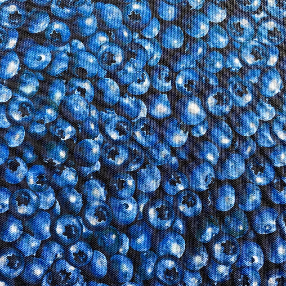 Packed BLUEBERRY BLUEBERRIES Blue Fabric - Benartex - 100% Cotton ...