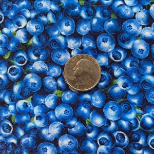 Packed BLUEBERRY BLUEBERRIES Fabric - Timeless Treasures - 100% Cotton ...