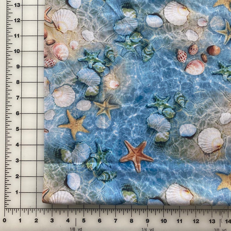 SHELLS & STARFISH Beach Fabric - Timeless Treasures - Cotton Quilt ...