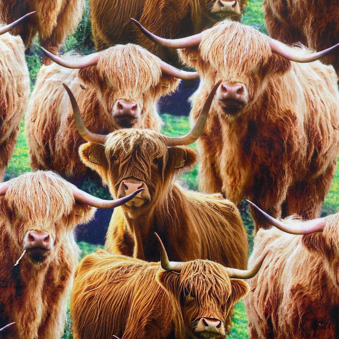 New! HIGHLAND COW Fabric - 100% Cotton Fabric by the Yard or Select ...