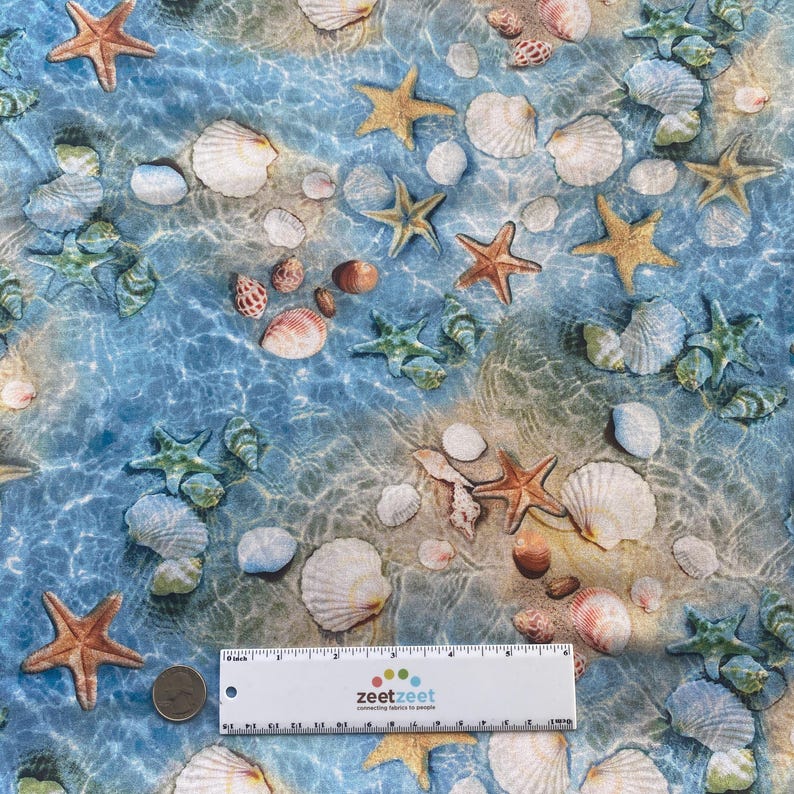 SHELLS & STARFISH Beach Fabric - Timeless Treasures - Cotton Quilt ...