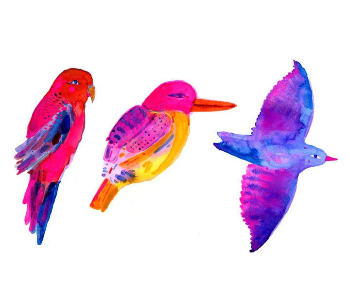 BIRD STICKERS: Watercolor Illustrated Colorful Bird Stickers | Etsy