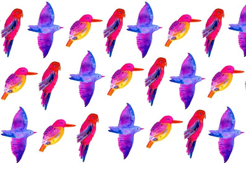 BIRD STICKERS: Watercolor Illustrated Colorful Bird Stickers | Etsy