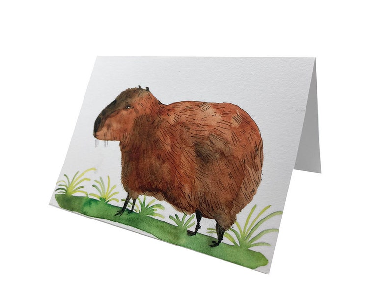 Capybara Notecard - Etsy