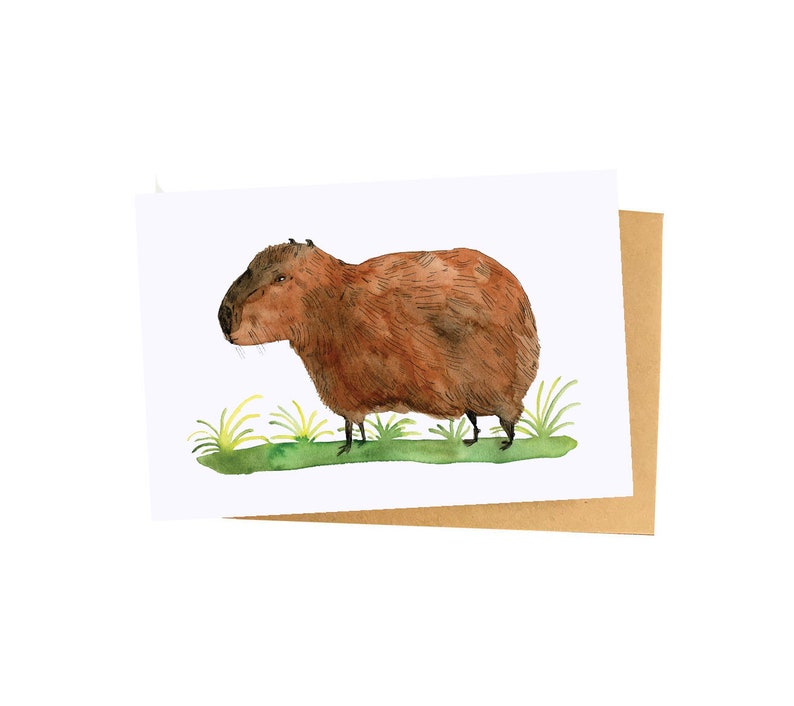 Capybara Notecard - Etsy