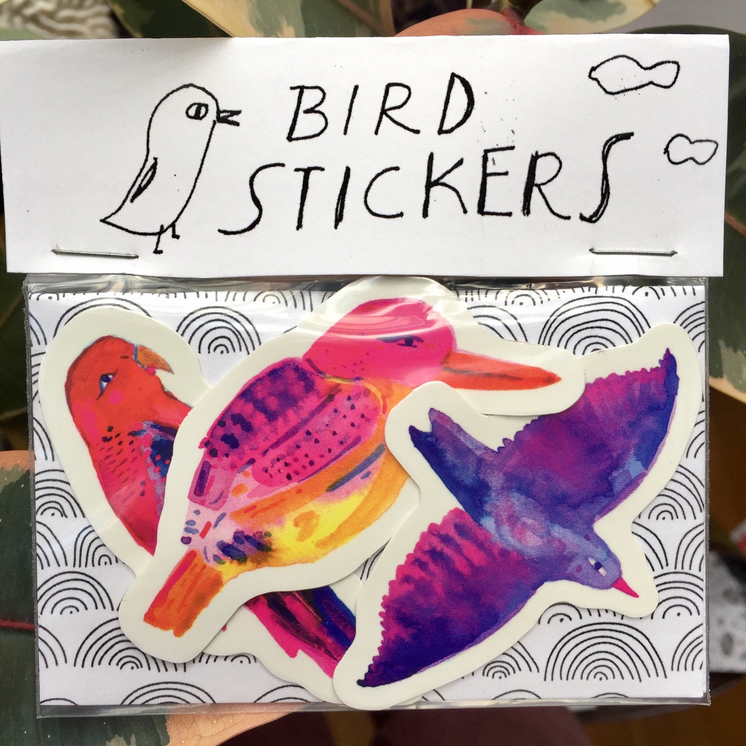 BIRD STICKERS: Watercolor Illustrated Colorful Bird Stickers | Etsy