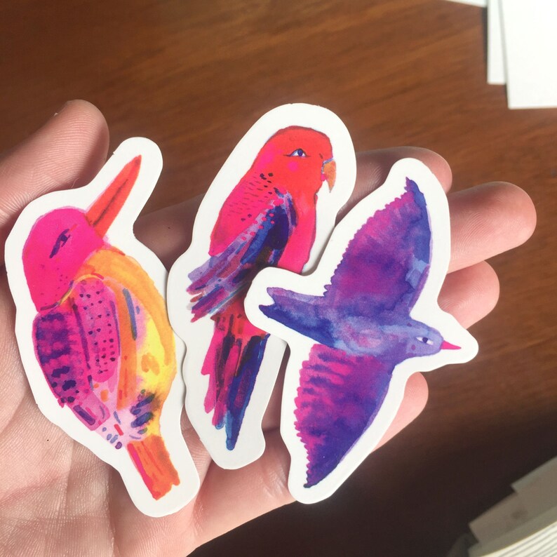 BIRD STICKERS: Watercolor Illustrated Colorful Bird Stickers | Etsy