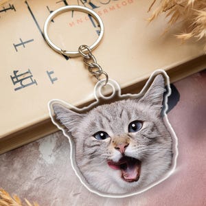 Custom Acrylic Cat Keychain, Pet Photo Keychain, Cat Picture Keychain ...