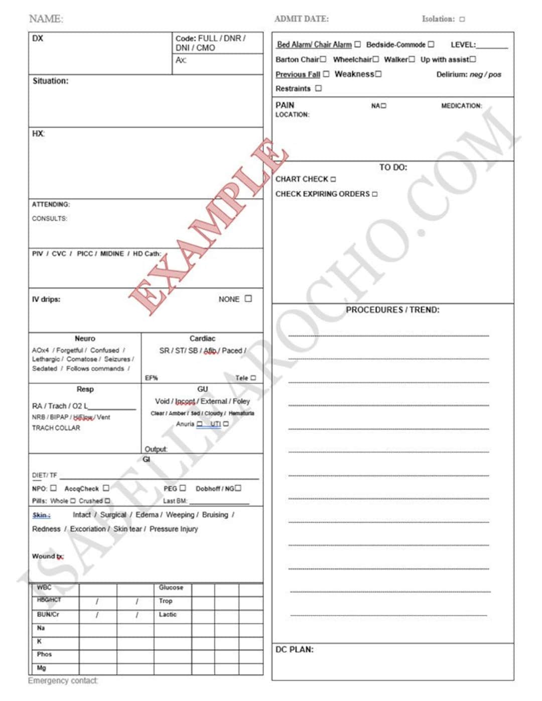 LTACH Nursing Brain/report Sheet - Etsy
