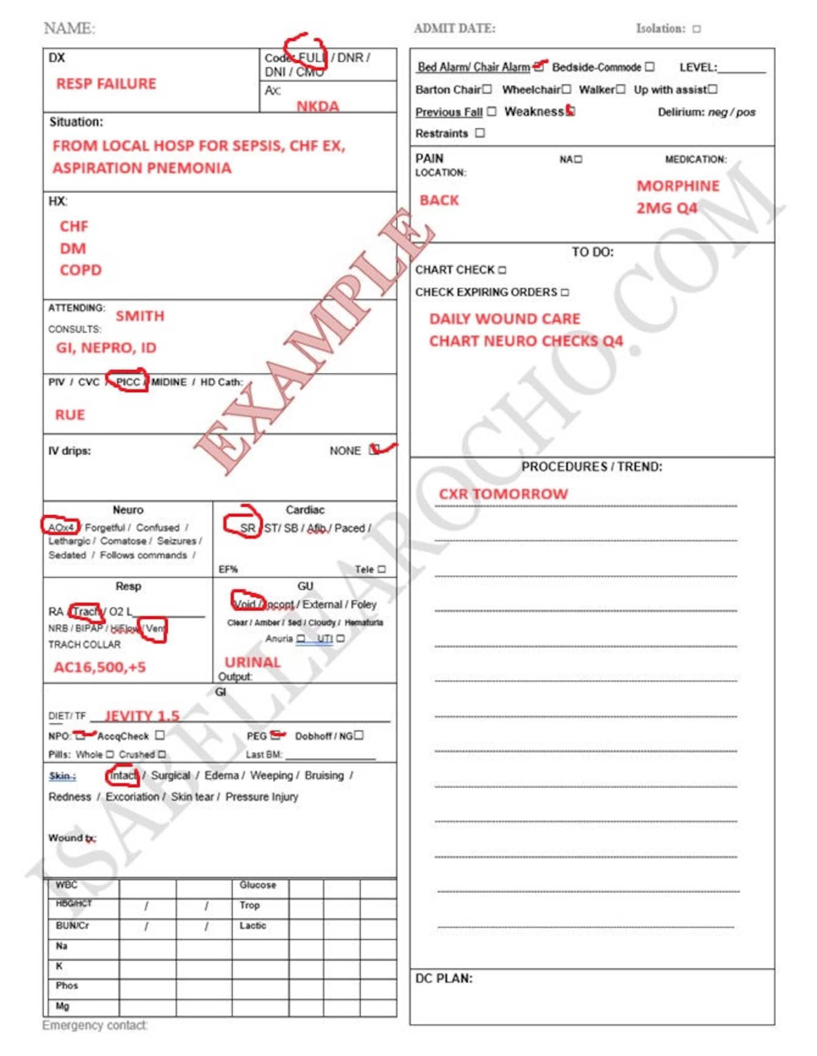LTACH Nursing Brain/report Sheet - Etsy