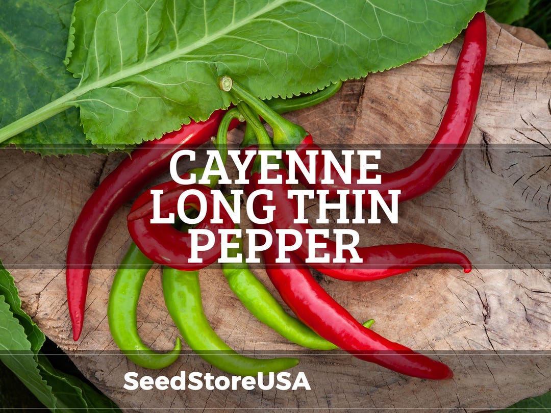 Cayenne Long Thin Pepper Seeds | Heirloom - Non-gmo | Capsicum Annuum ...