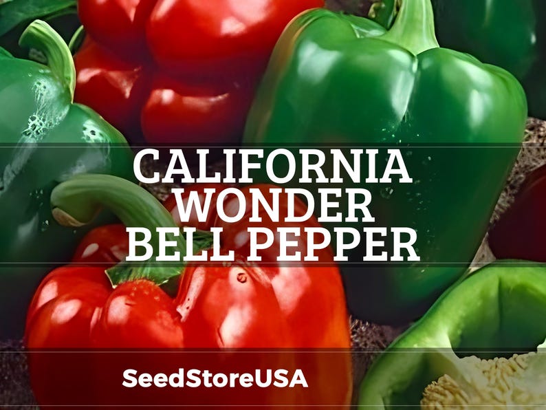 California Wonder 300 TMR Bell Pepper Seeds | Heirloom - Non-gmo ...