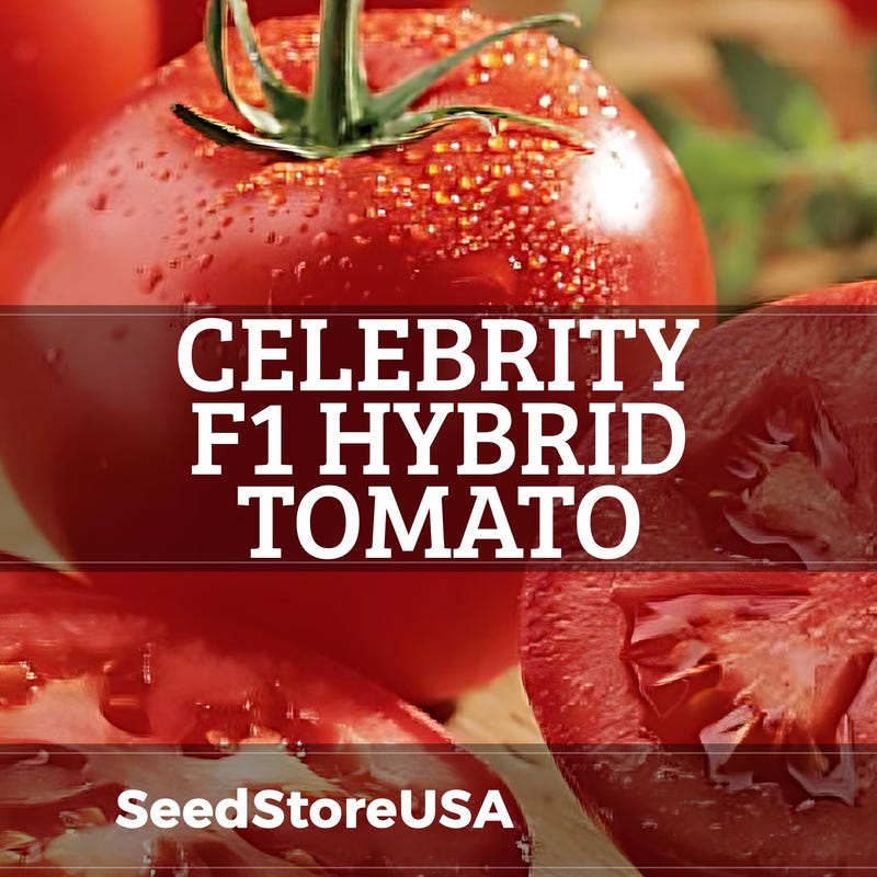 F1 Tomatoes Seeds - Etsy
