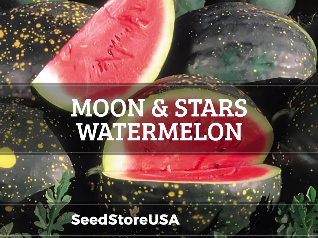 Moon and Stars Watermelon Seeds (red Flesh) | Heirloom - Non-gmo ...