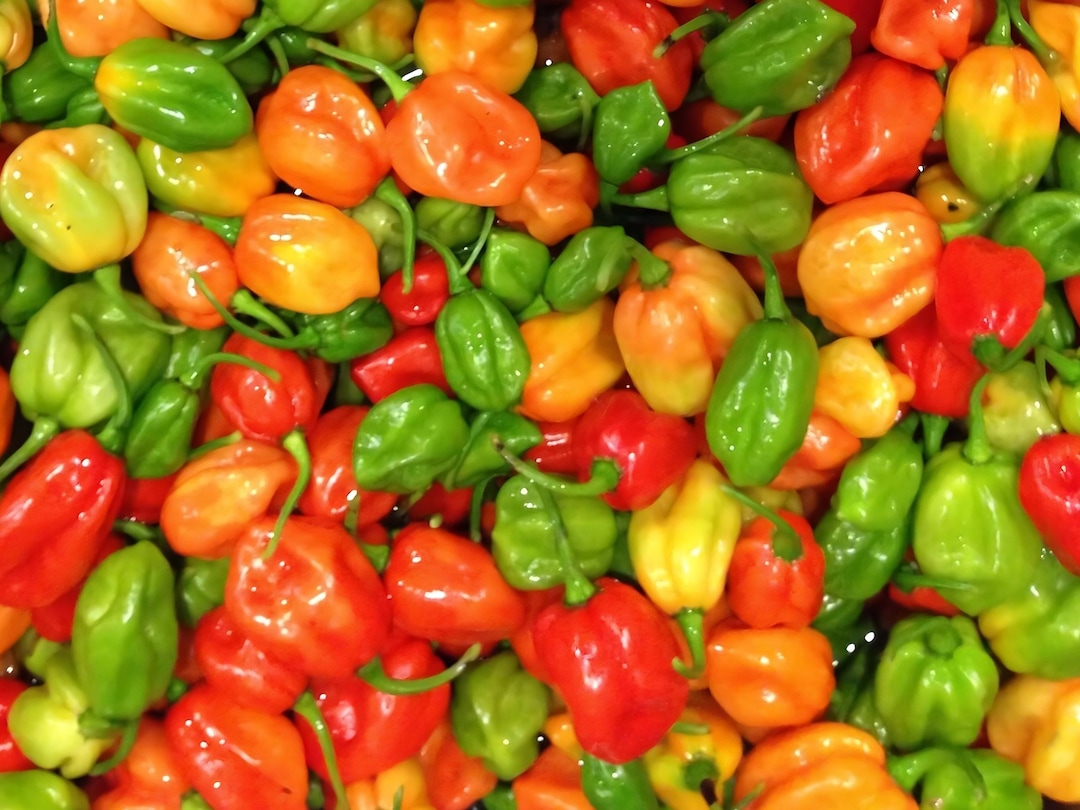 Aji Dulce Pepper Seeds | Heirloom - Non-gmo | Capsicum Chinense ...