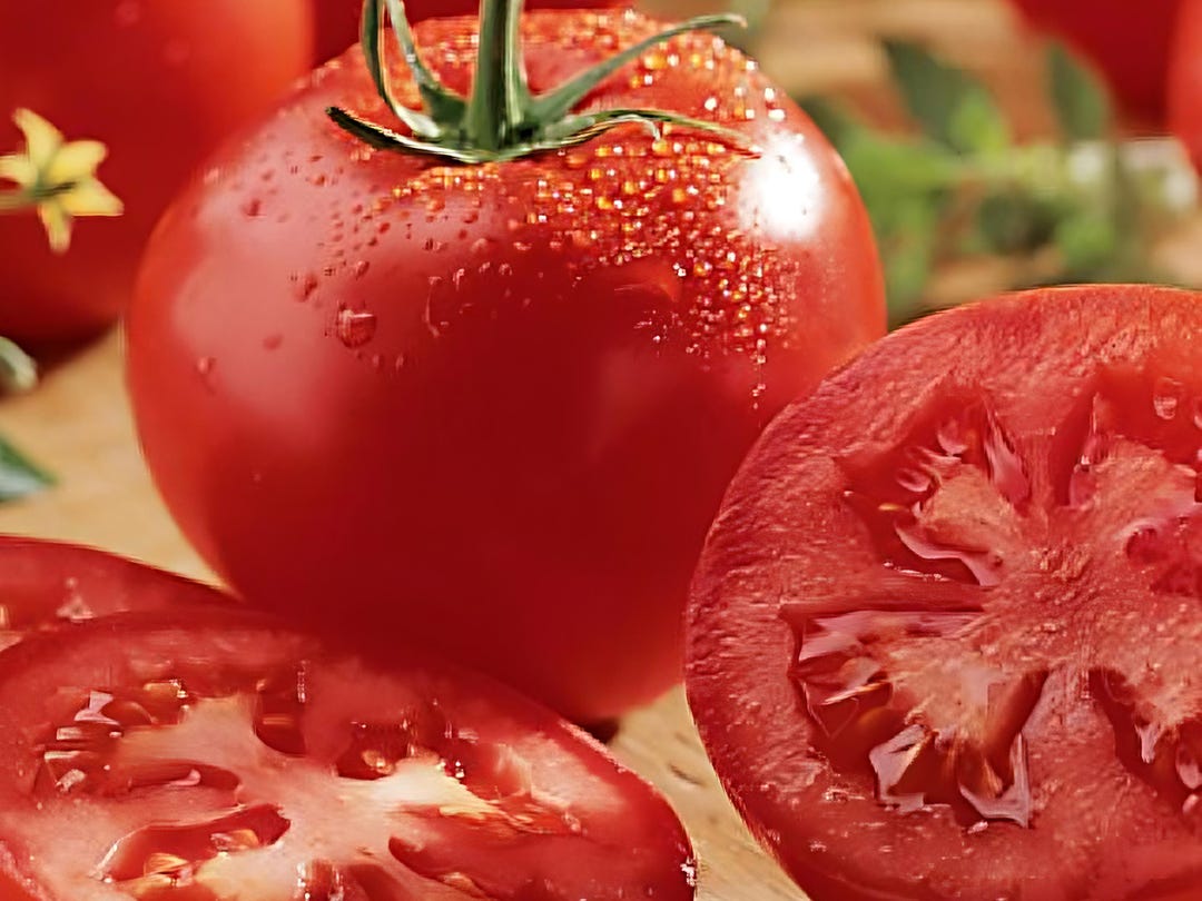 Celebrity Tomato Seeds (F1 Hybrid) | Heirloom - Non-gmo | Solanum ...