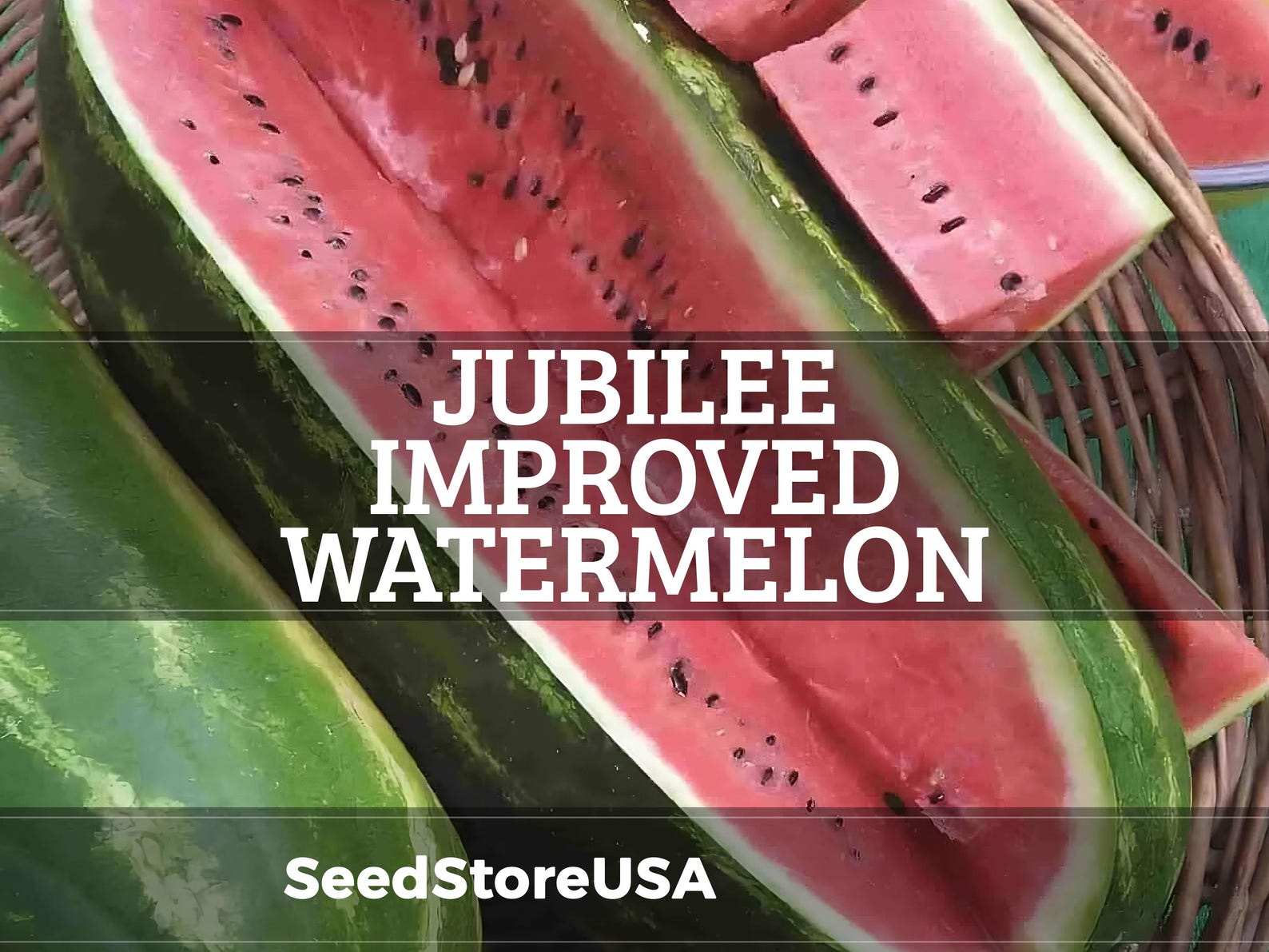 Jubilee Improved Watermelon Seeds | Heirloom - Non-gmo | Citrullus ...