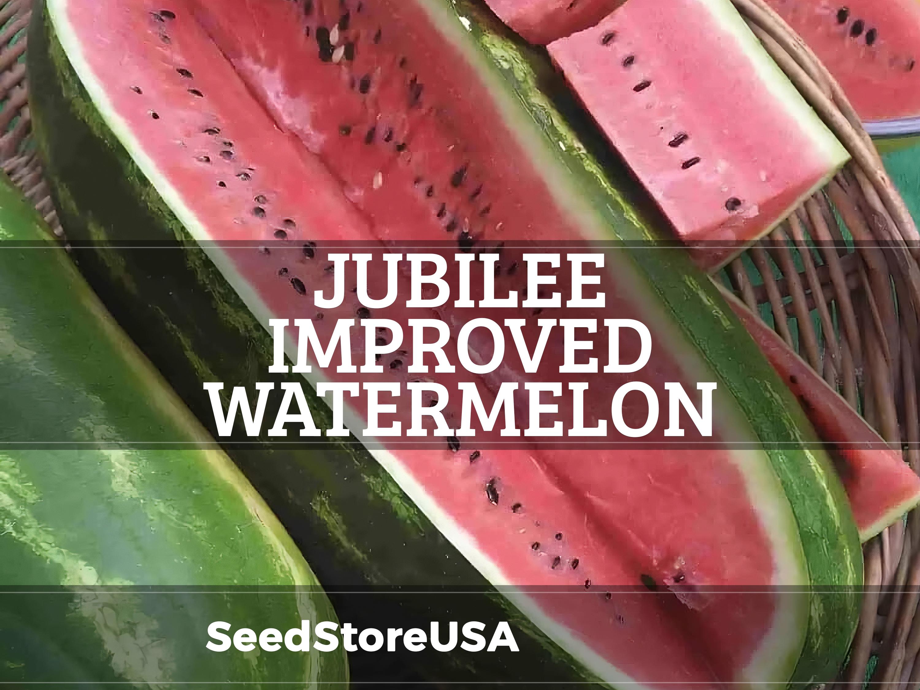 Jubilee Improved Watermelon Seeds | Heirloom - Non-gmo | Citrullus ...