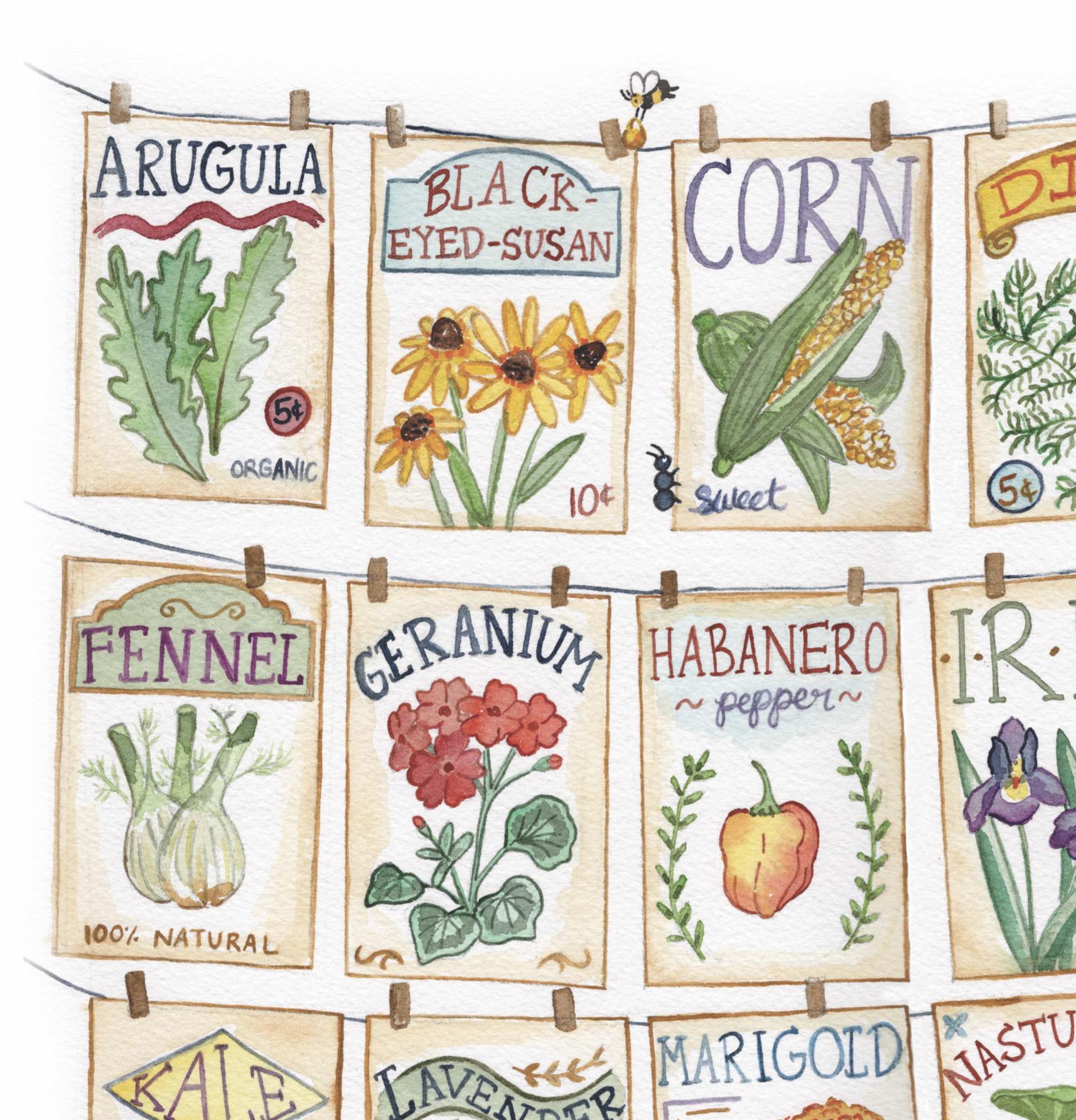 Seed Packet Alphabet - 11x14" Watercolor Print, Garden Abcs, Farmer or ...