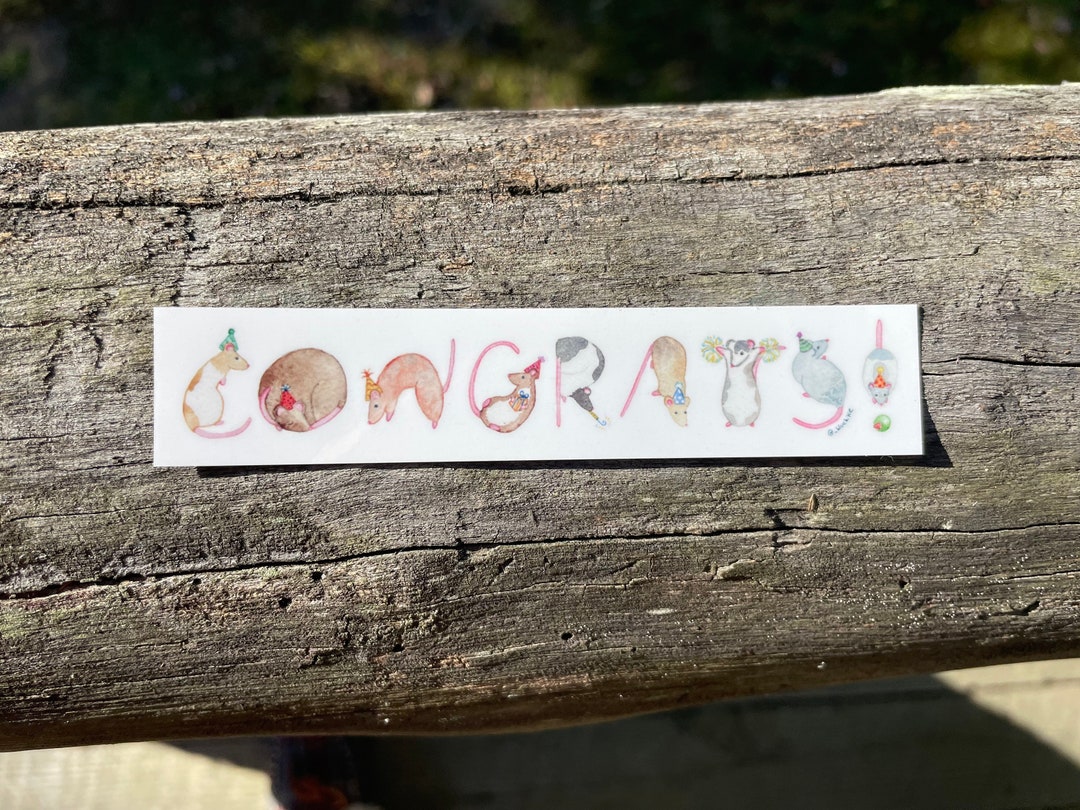Congrats Vinyl Sticker (free Shipping!): Water Resistant & Whimsical ...