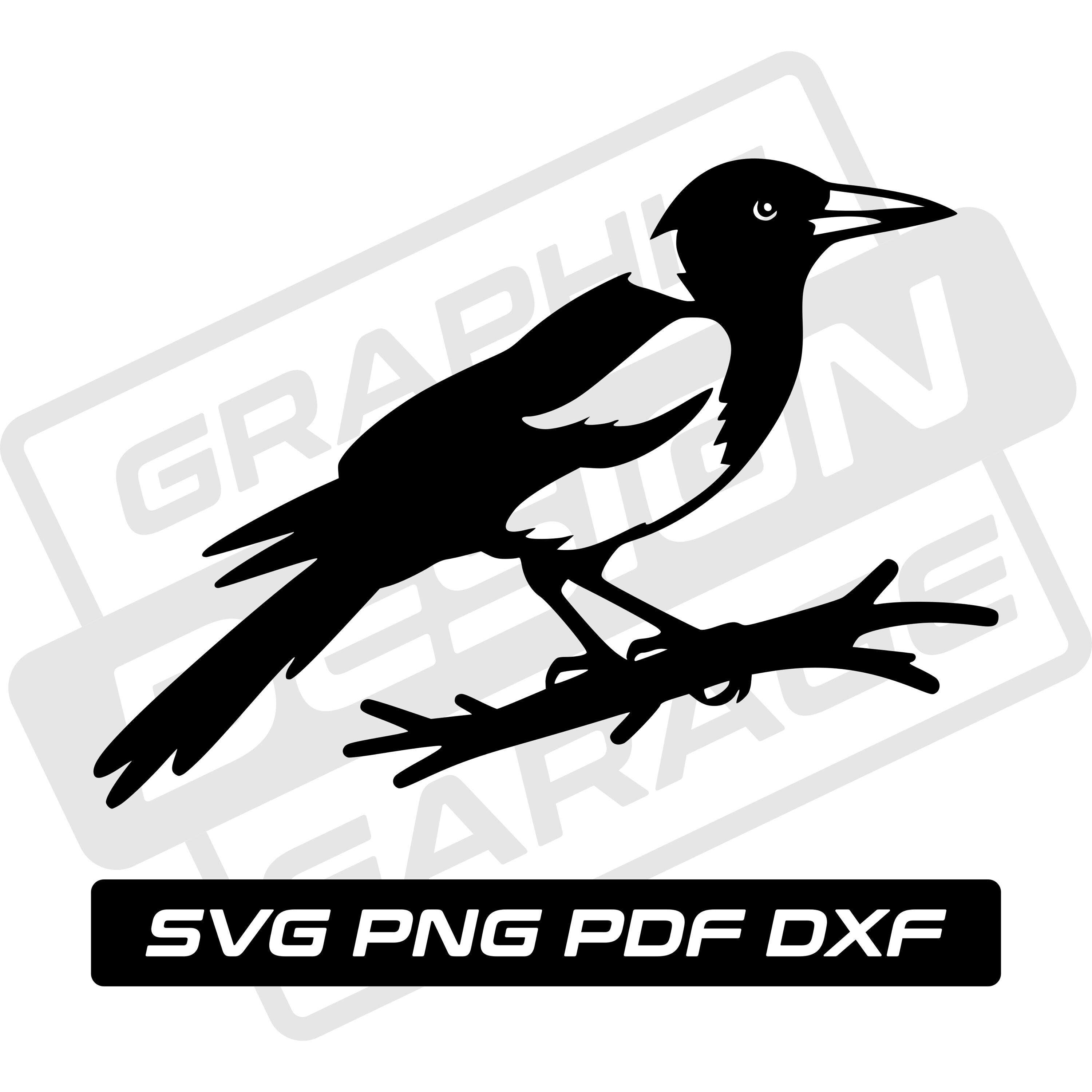 Magpie Svg - Pdf - Png - Dxf - Australian Bird - Commercial Use - Bird ...