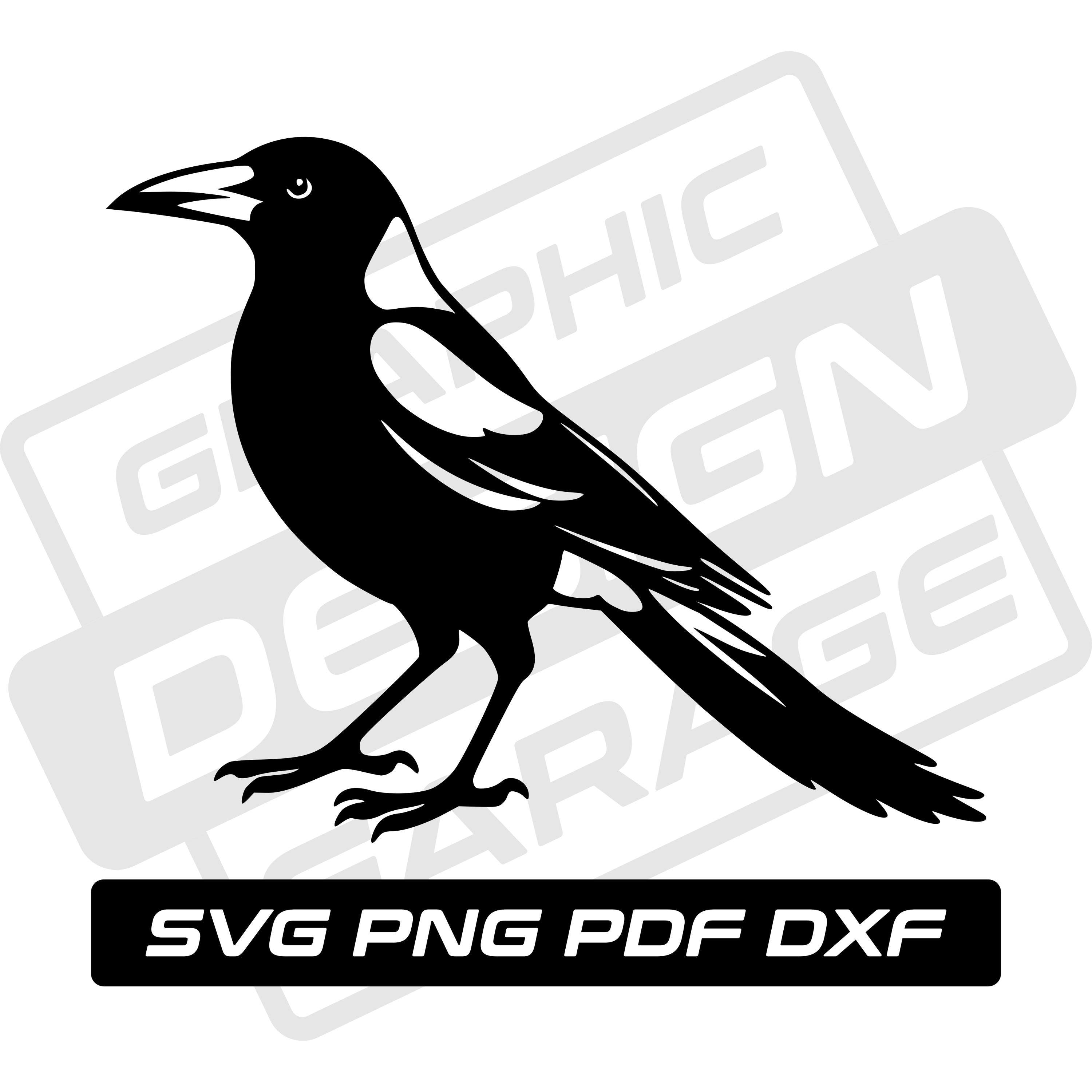 Magpie Svg - Pdf - Png - Dxf - Australian Bird - Commercial Use - Bird ...