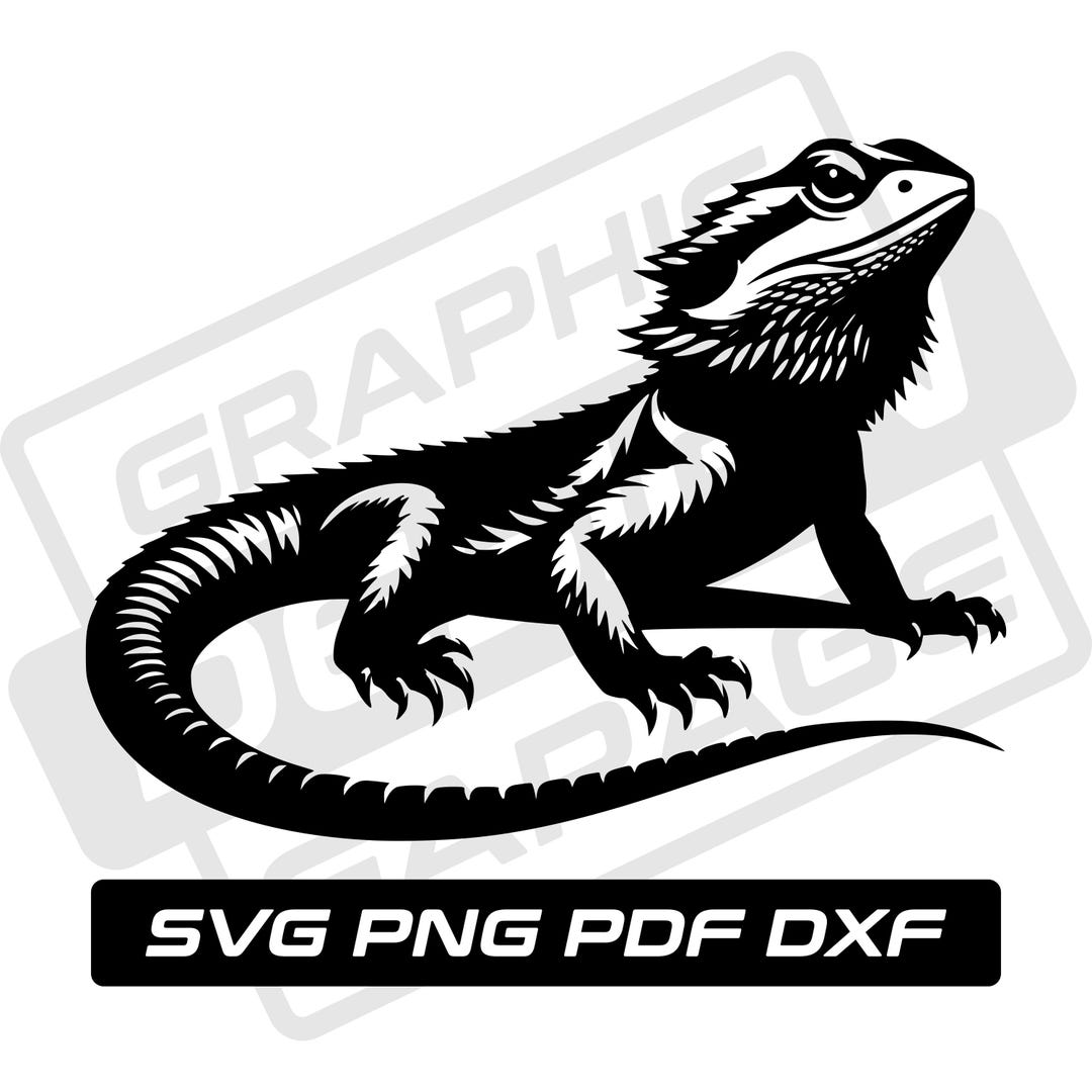 Bearded Dragon Svg - Pdf - Png - Dxf - Reptile - Lizard - Commercial ...