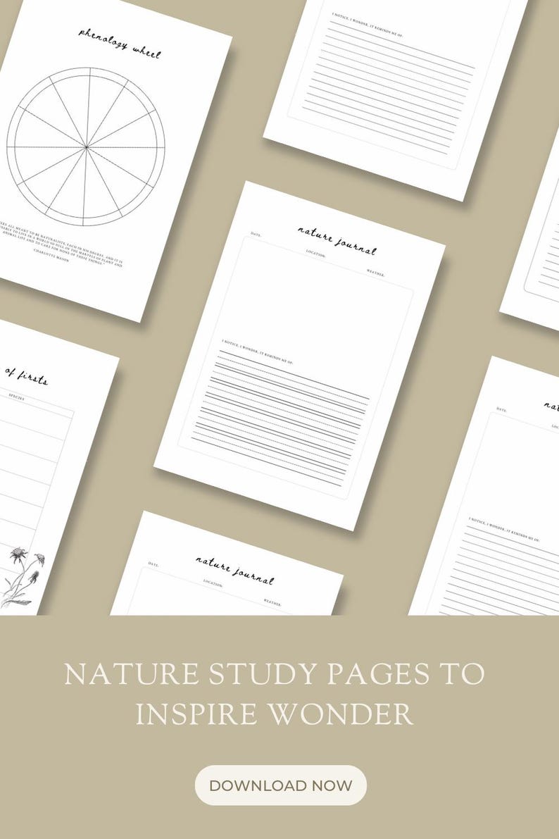 Wisdom & Wonder | Narration Notebook - Etsy