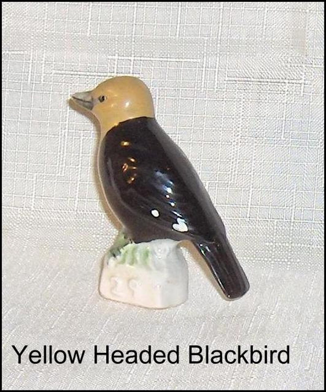 Canadian Tender Leaf Tea Premium Bird Yellow Headed Blackbird - Etsy