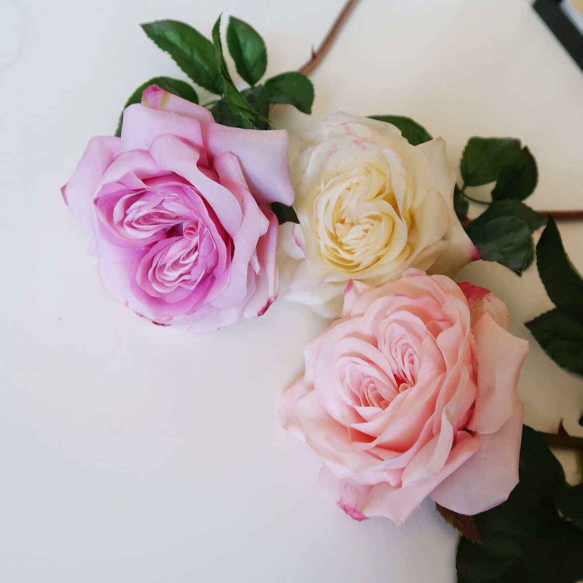 Artificial Roses Realistic Austin Roses Real Touch Faux Roses High ...