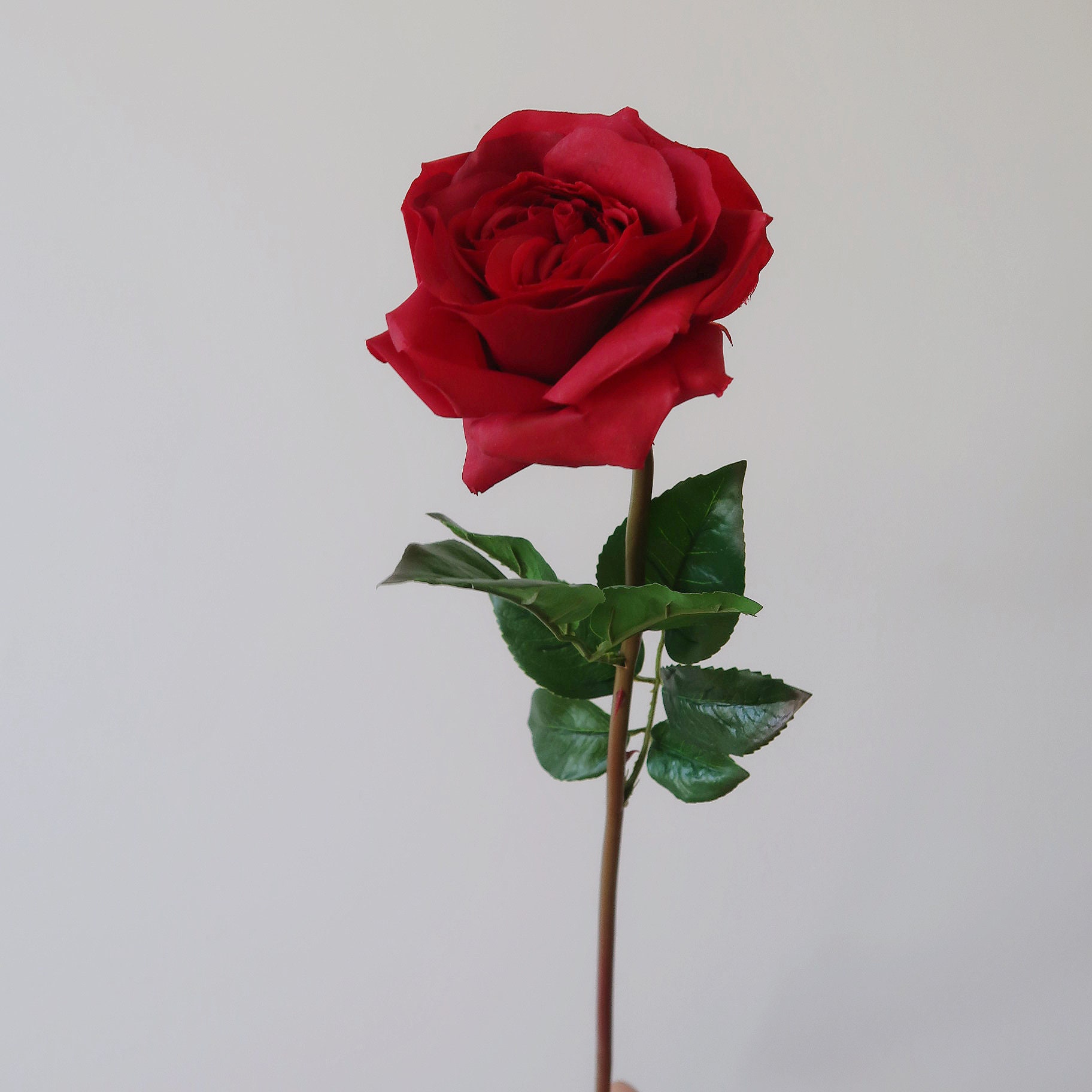 Artificial Roses Realistic Austin Roses Real Touch Faux Roses High ...
