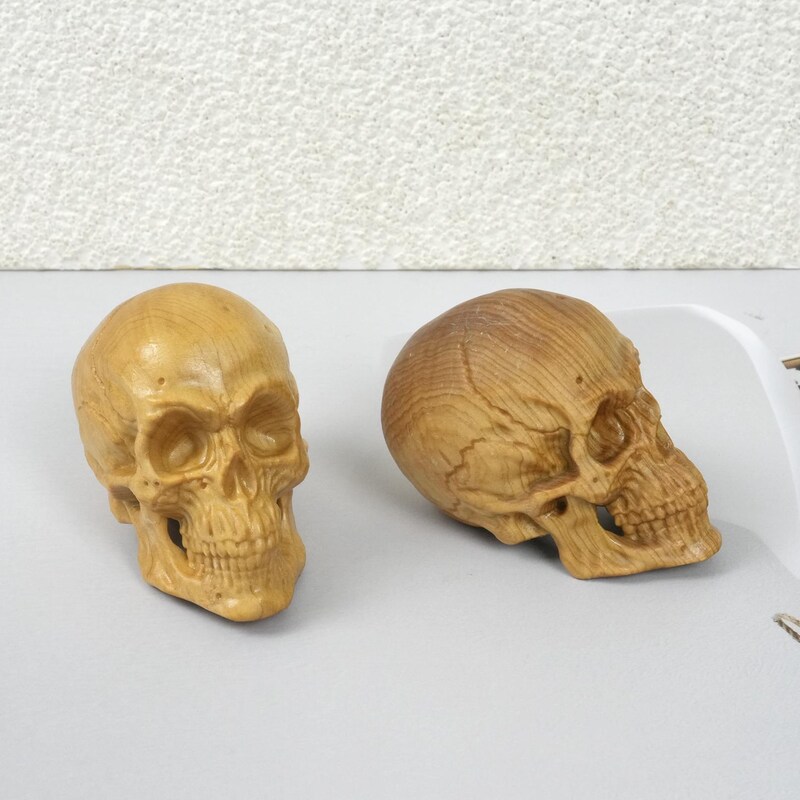 Skull Prop - Etsy UK