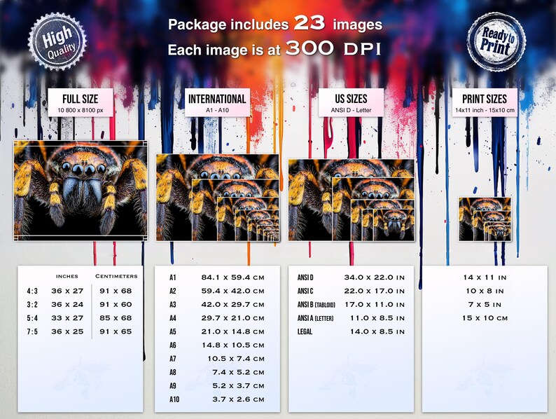 Printable Poster "macro Menace", Spider Macro,arachnid Art,predator ...