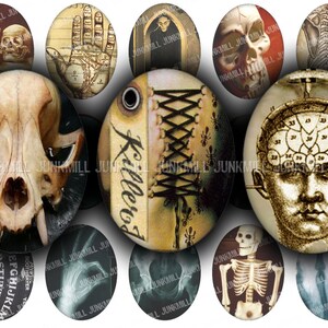 MACABRE OVALS Digital Printable Collage Sheet Vintage Halloween Anatomy ...